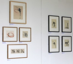 Dance « Sally McKay